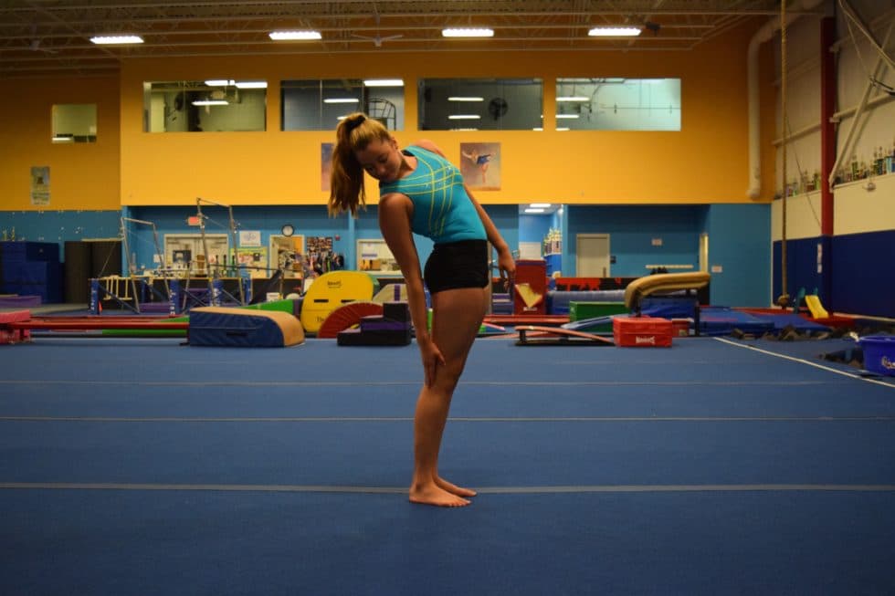 Rehab Tips For Clinicians To Treat Gymnasts with Extension Based LBP ...