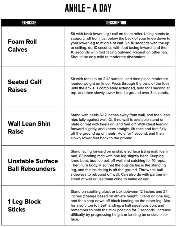 Gymnastics PreHab Circuits PDF